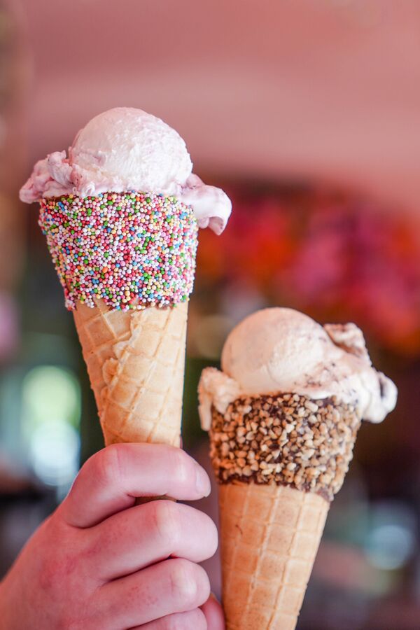 IJs (eten) - Wikikids